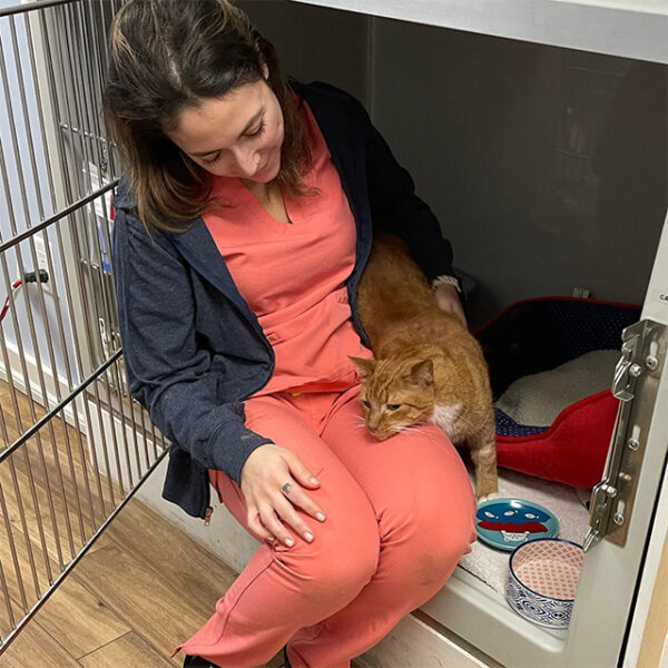 Career Opportunities - Jameson Queen Animal Hospital