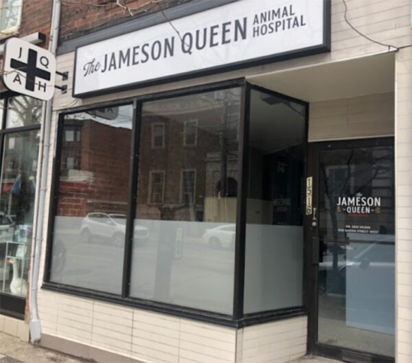 Contact Us - Jameson Queen Animal Hospital