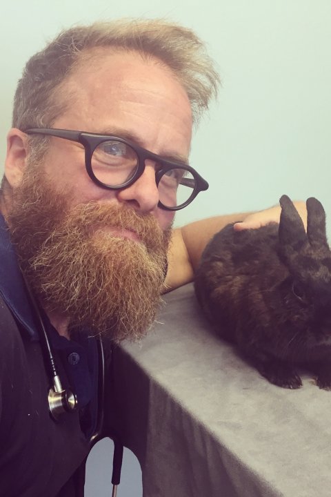 Meet Our Team - Jameson Queen Animal Hospital